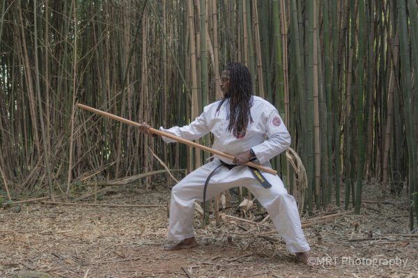 Northern Shaolin School of Kung Fu – Humble Hearts! Fearless Fists!