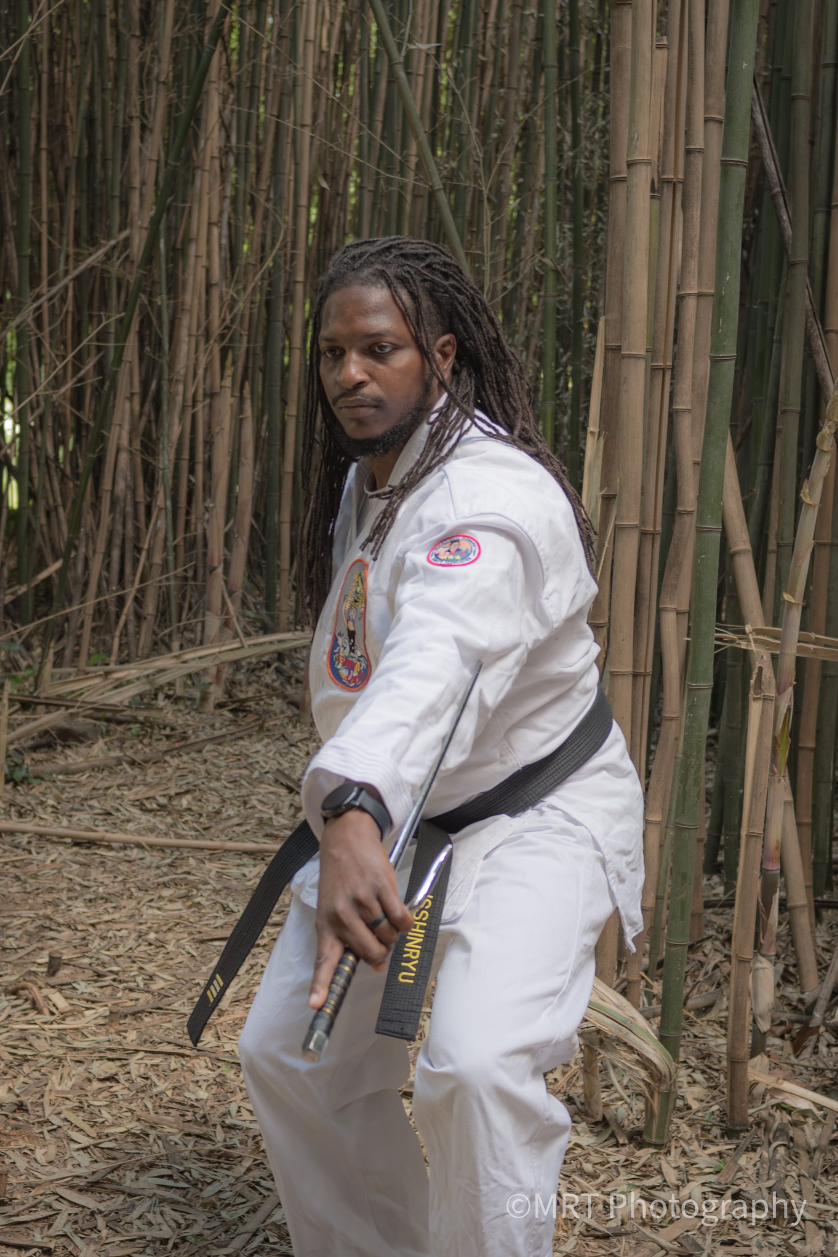 Styles – Northern Shaolin School of Kung Fu