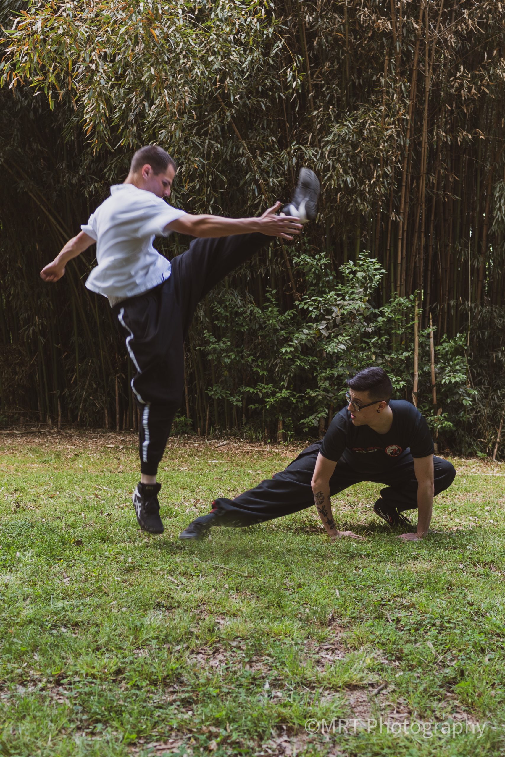 Styles – Northern Shaolin School of Kung Fu